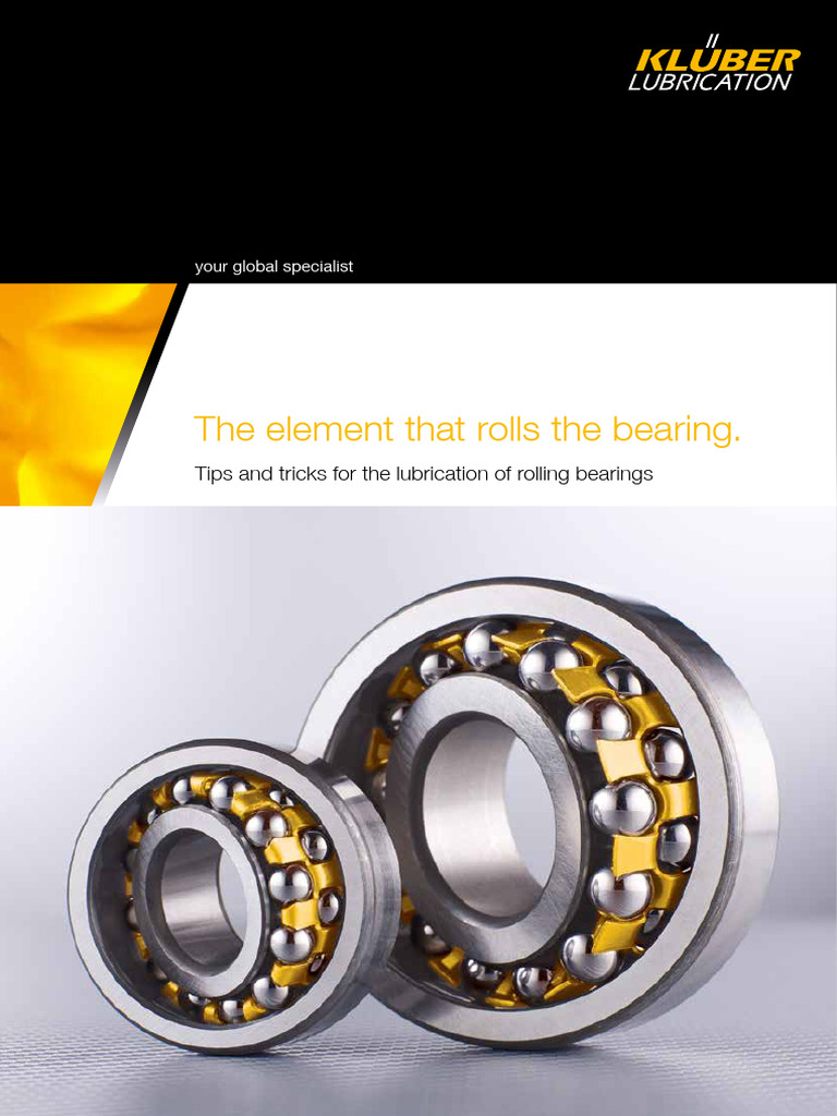 B010000502 Rolling Bearings EN 1220 | PDF | Bearing (Mechanical ...