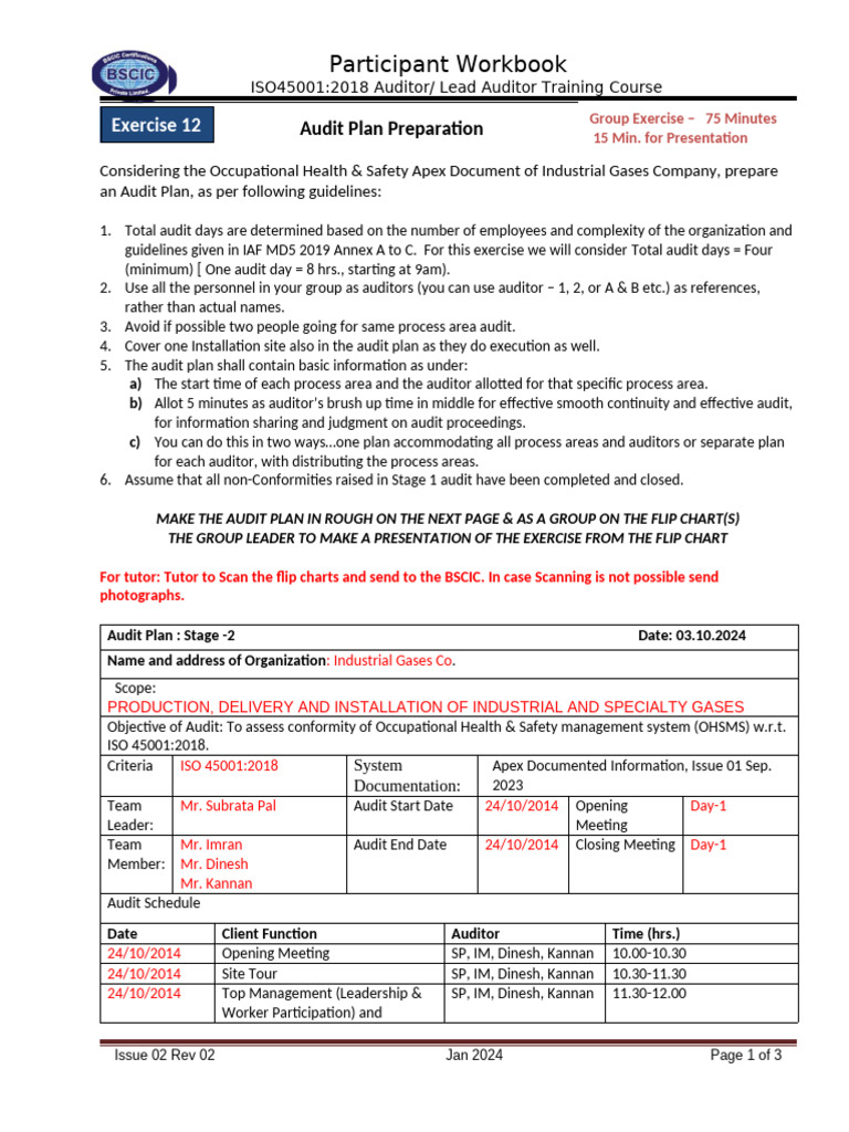 Workbook - ISO 45k Audit Plan Exercise 12 | PDF | Audit | Safety