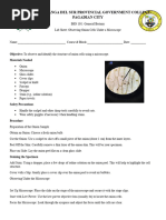 Onion Staining and Cell Size | PDF | Microscopy