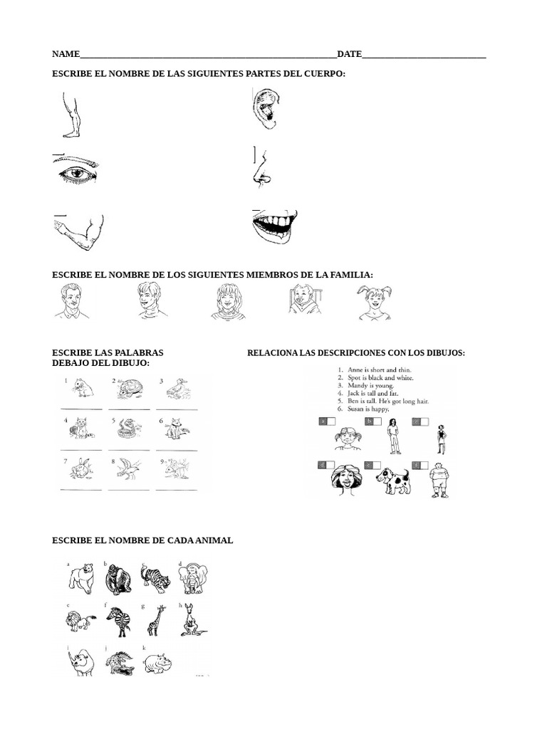 Examen Vocabulario | PDF