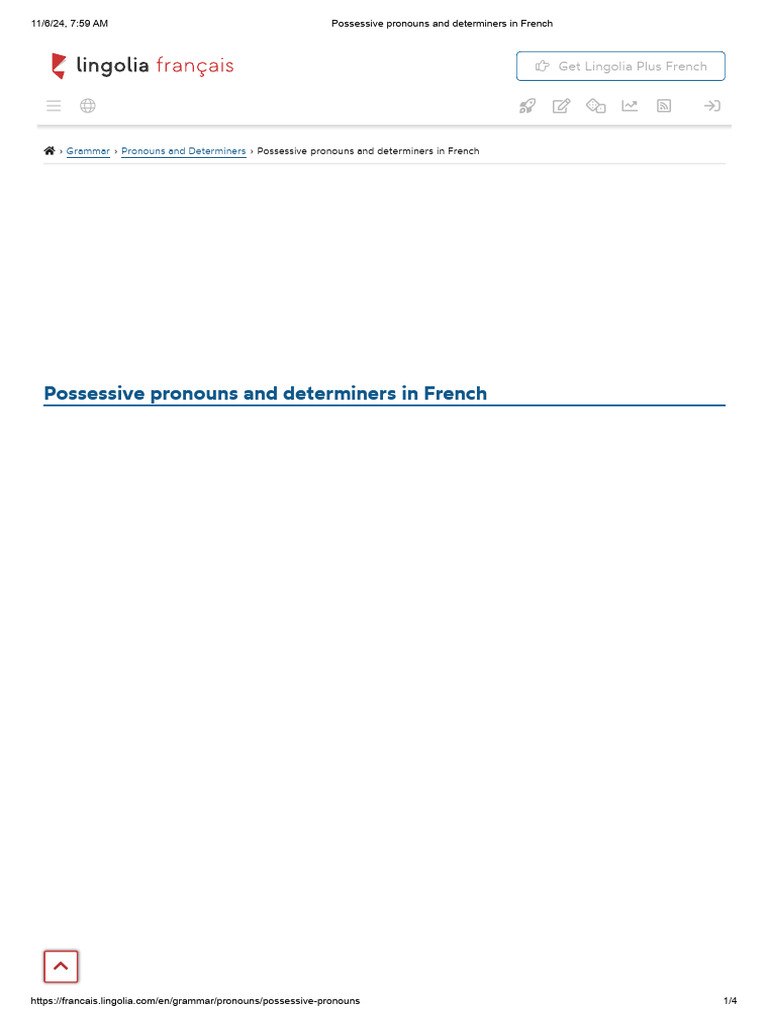 Possessive Pronouns and Determiners in French | PDF | Grammatical ...