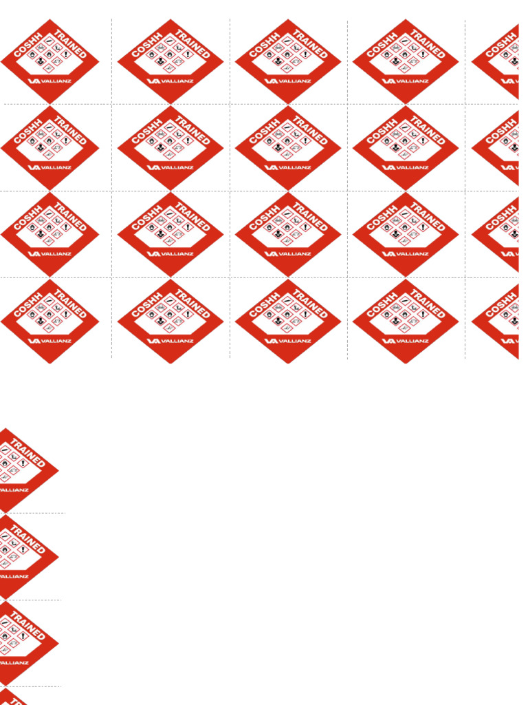 HSE Training Sticker | PDF