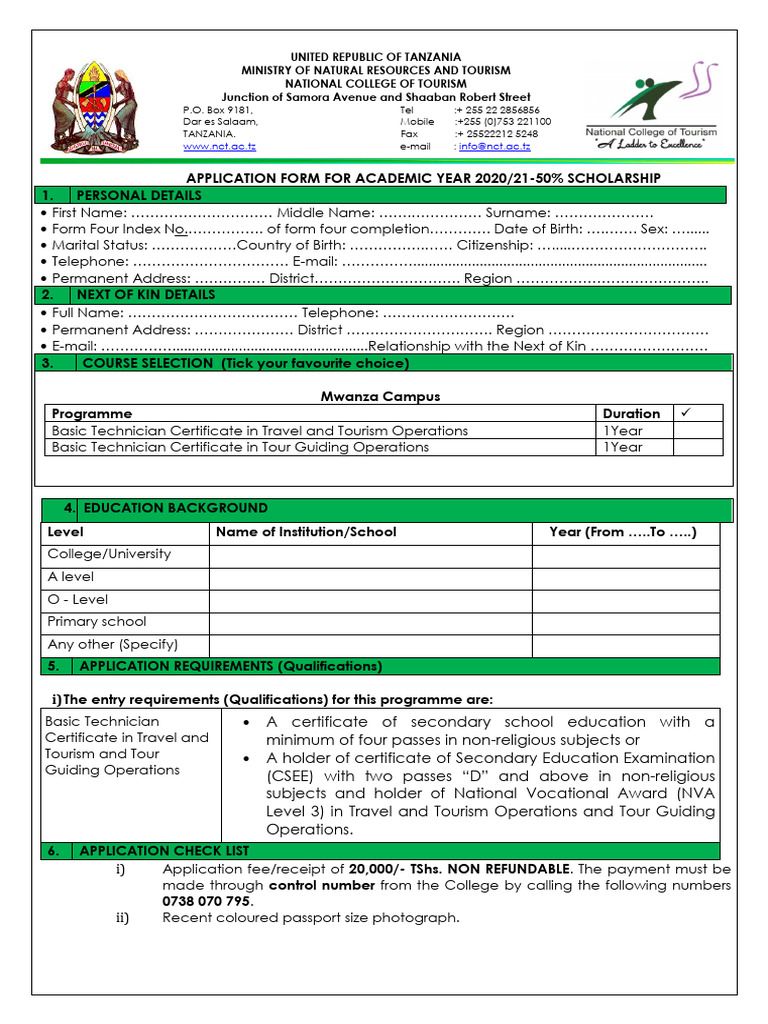 Application Form 2020-21 Ufadhili Mwanza | PDF