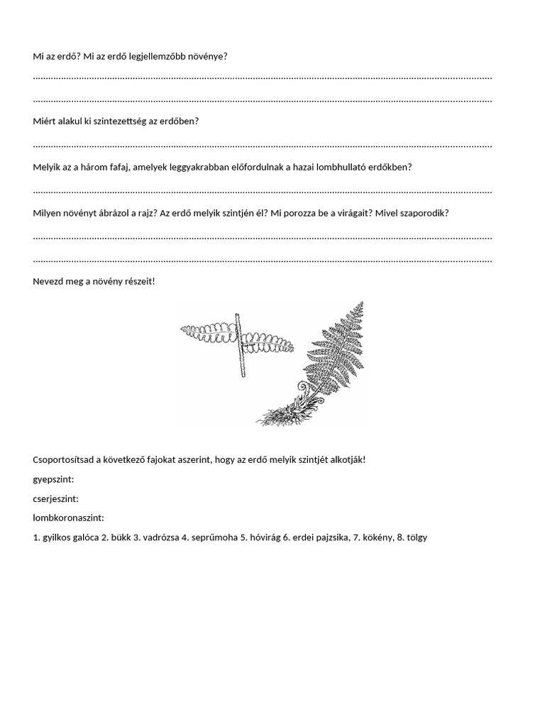 Mi Az Erdő | PDF