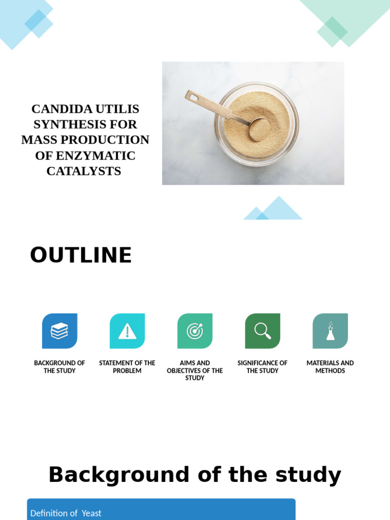 6candida Utilis Synthesis For Mass Production of Enzymatic Catalysts | PDF | Yeast | Proteins