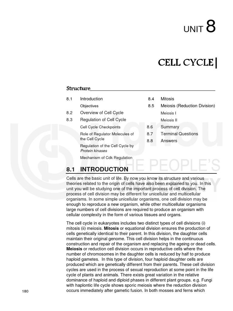 Unit 8 | PDF | Cell Cycle | Meiosis
