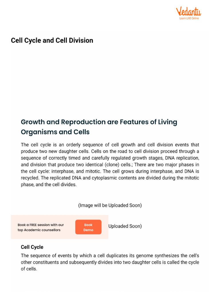Cell Cycle and Cell Division | PDF
