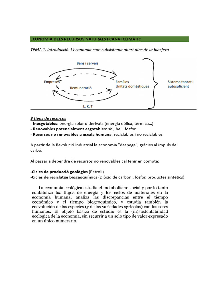 Apunts Definitius | PDF