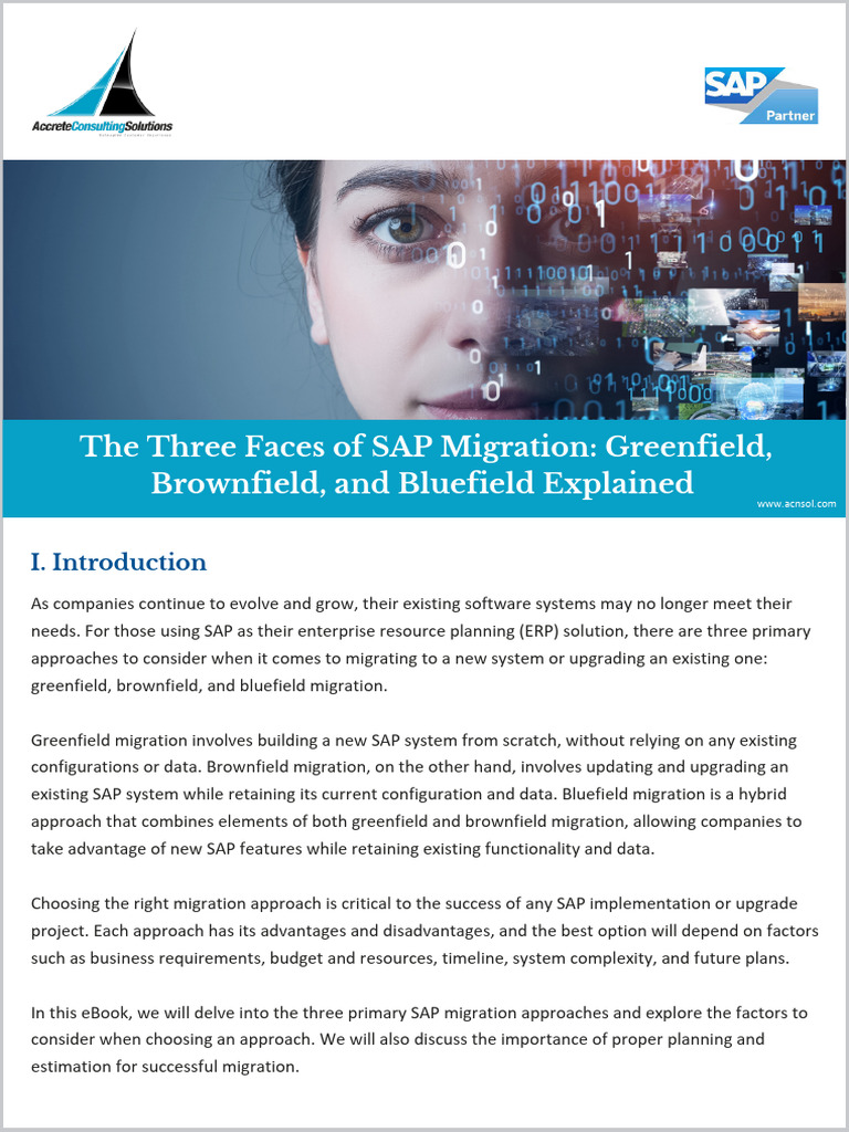 The Three Faces - of SAP Migration Greenfield Brownfield and Bluefield ...