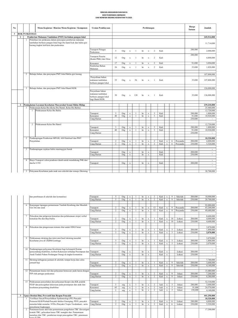Rab Usulan Bok Puskesmas Abenaho 2025 | PDF