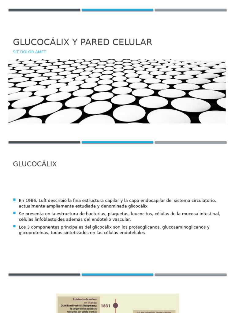 Glucocálix y Pared Celular | PDF | Pared celular | La matriz extracelular
