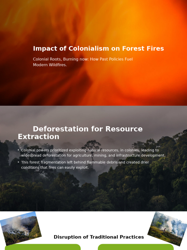 Impact of Colonialism On Forest Fires | PDF | Wildfire | Forests