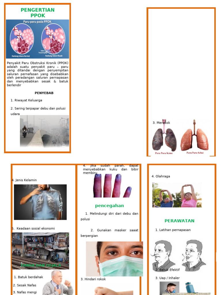 Leaflet Ppok Warna | PDF