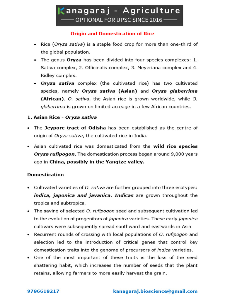 Model Answer - Origin and Domestication of Rice | PDF | Rice | Agriculture