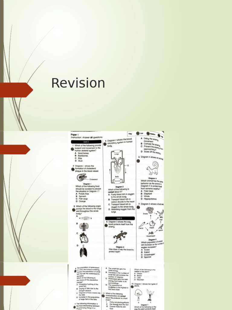 Revision | PDF