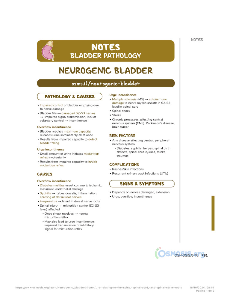 Neurogenic Bladder - Video, Causes, & Meaning - Osmosis | PDF | Science ...