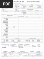Trevi Testing for Safety Valves | PDF | Valve | Leak