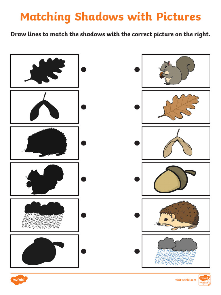 T T 13169 Autumn Shadow Matching Worksheet - Ver - 2 | PDF