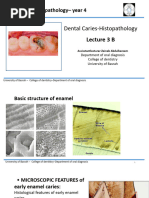 Using - Dentition To Age Cattle | PDF | Tooth | Dentistry