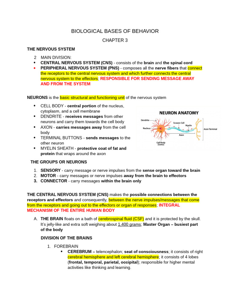 Chapter 3 - Biological Bases of Behavior | PDF | Central Nervous System ... Chapter 3 - Biological Bases of Behavior | PDF | Central Nervous System ...