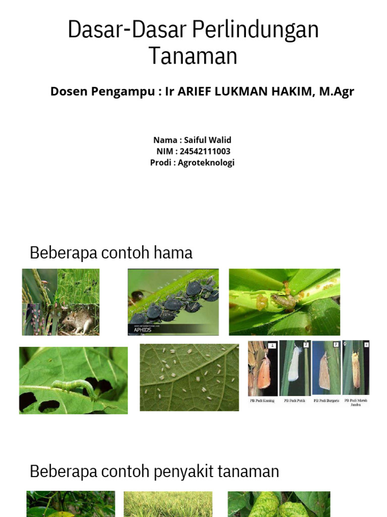 Dasar Perlindungan Hama dan Penyakit Tanaman | PDF | Kesehatan Holistik ...