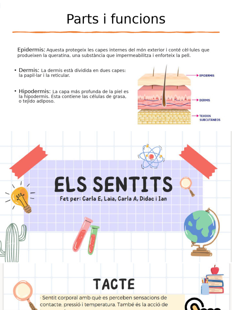 Els Sentits | PDF