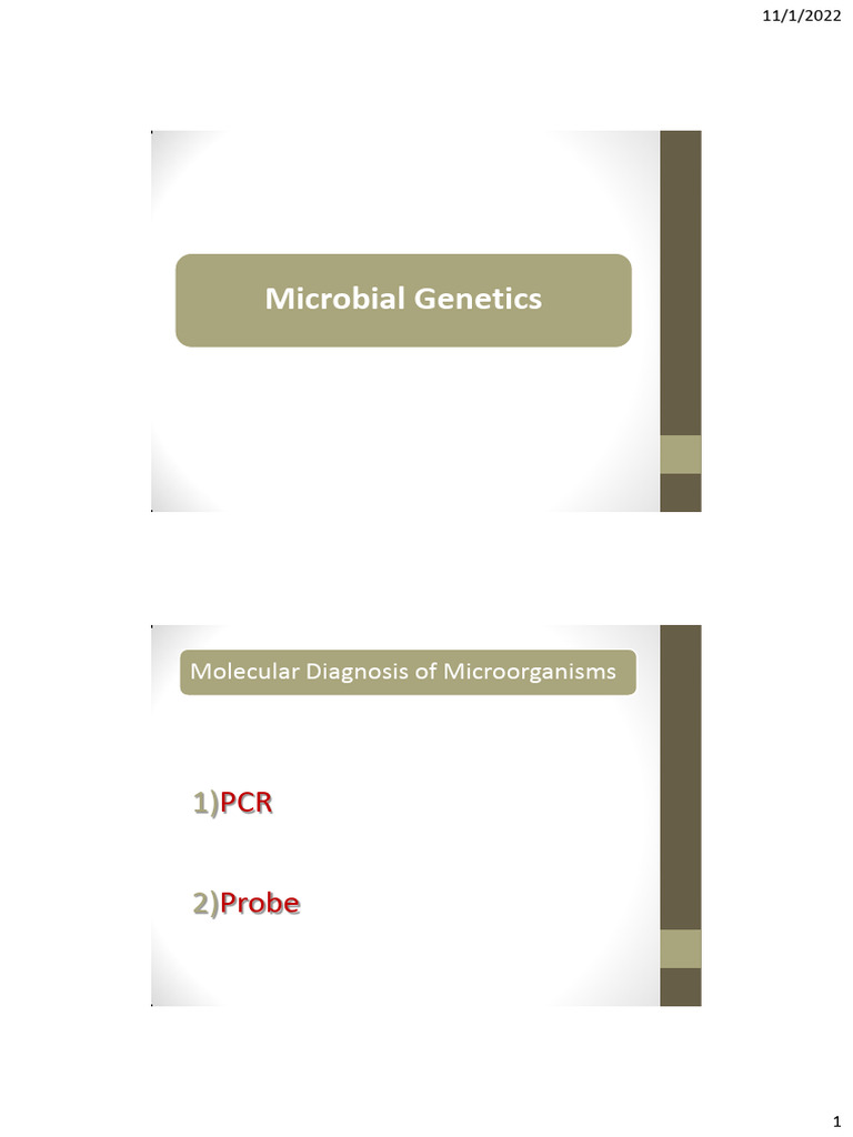 Lecture 5 Microbial Genetics Part 2 Pdf Polymerase Chain Reaction Dna