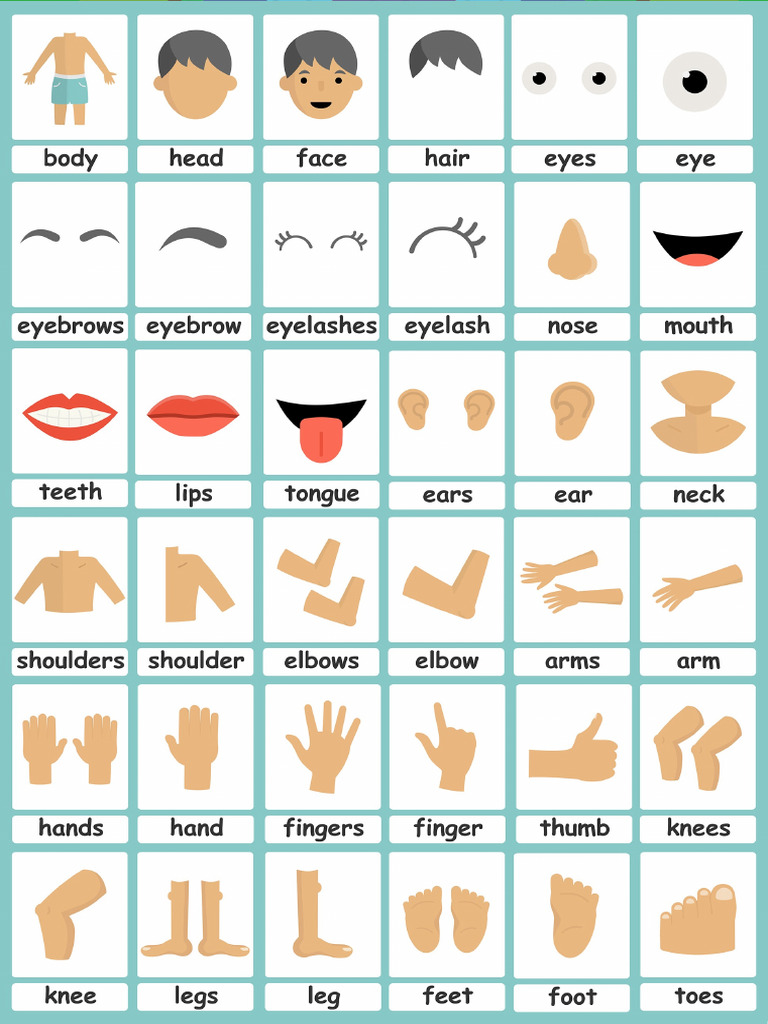 BODY PARTS Poster | PDF