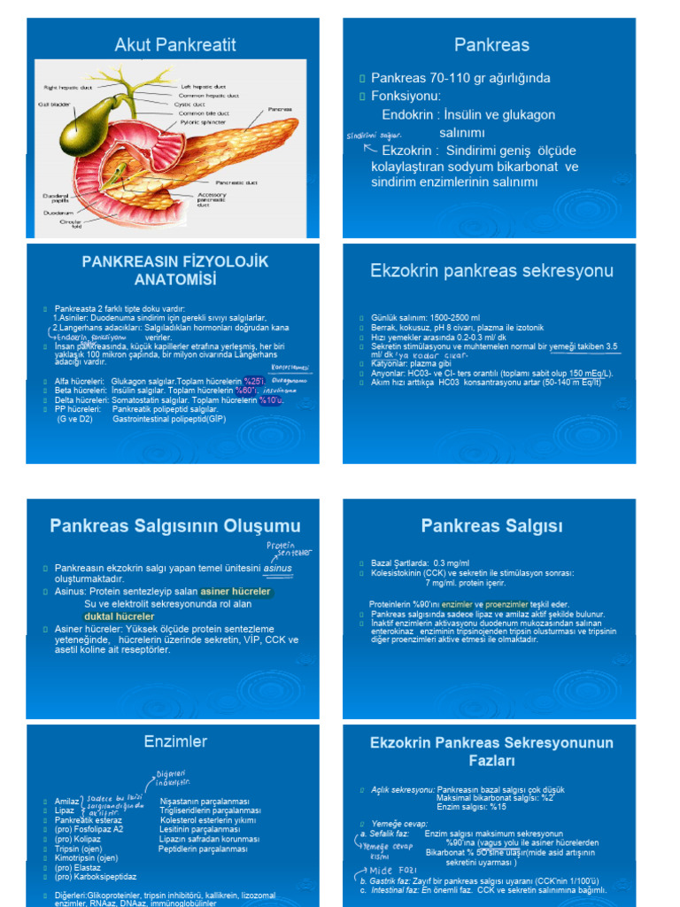 Akut Pankreatit 01.11 | PDF