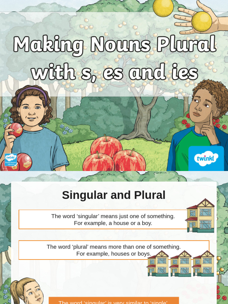 t2 e 704 Making Nouns Plural With S Es and Ies Lesson Teaching ...