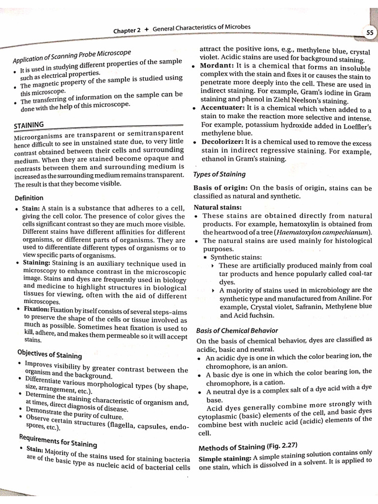 Bacterial Staining Pdf