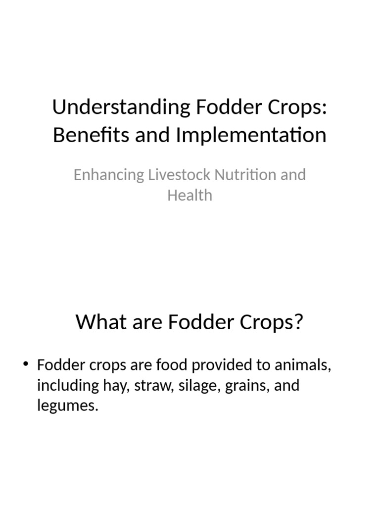 Fodder Crops Presentation | PDF | Wellness
