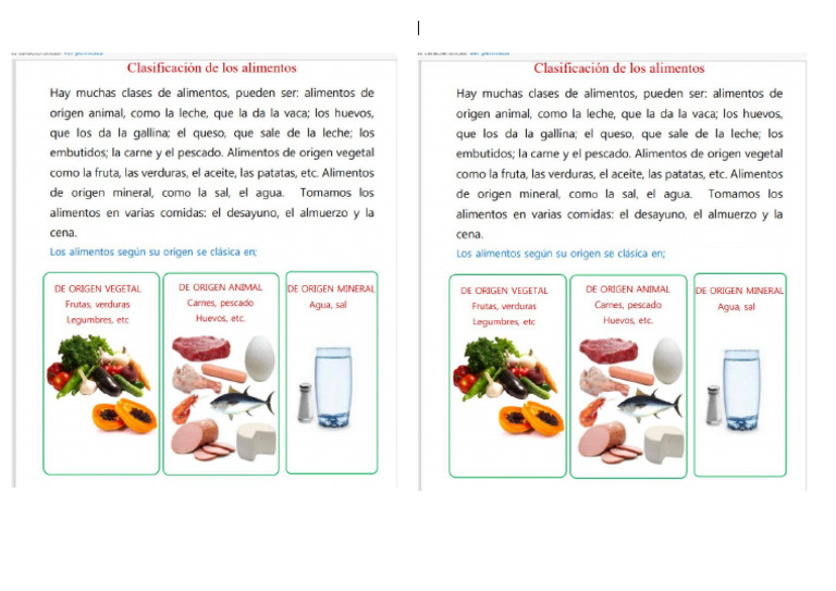 Alimentos Segun Su Origen | PDF