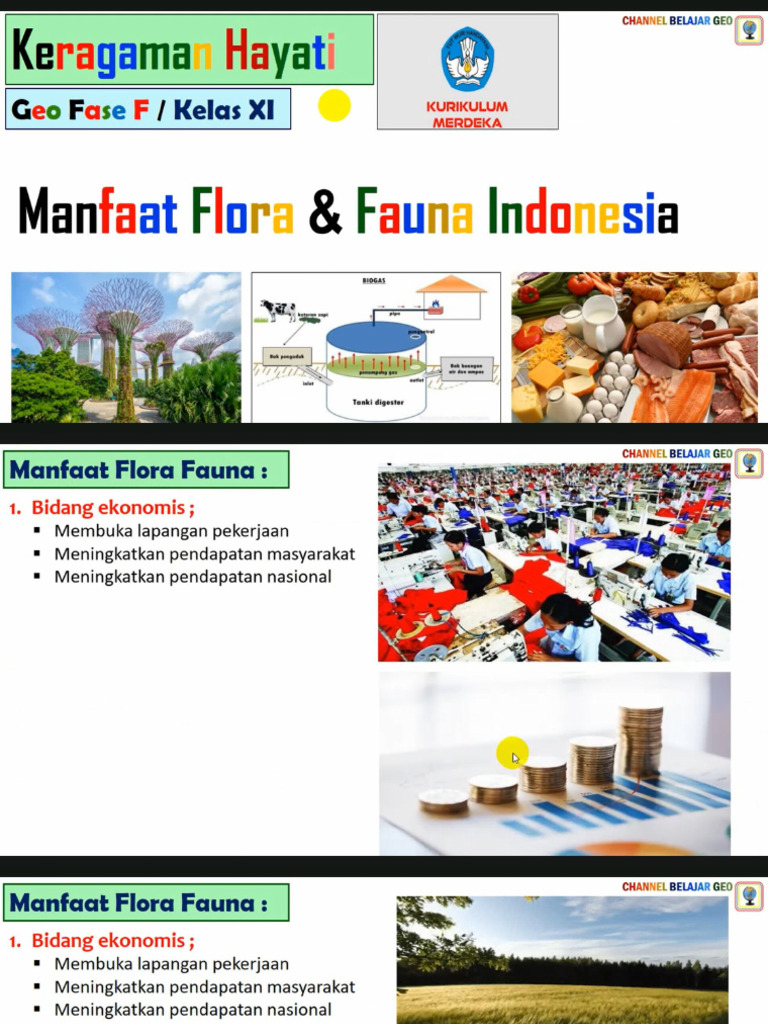 Manfaat Flora Fauna Indonesia | PDF
