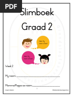 Leesbegrip - Graad 1 | PDF