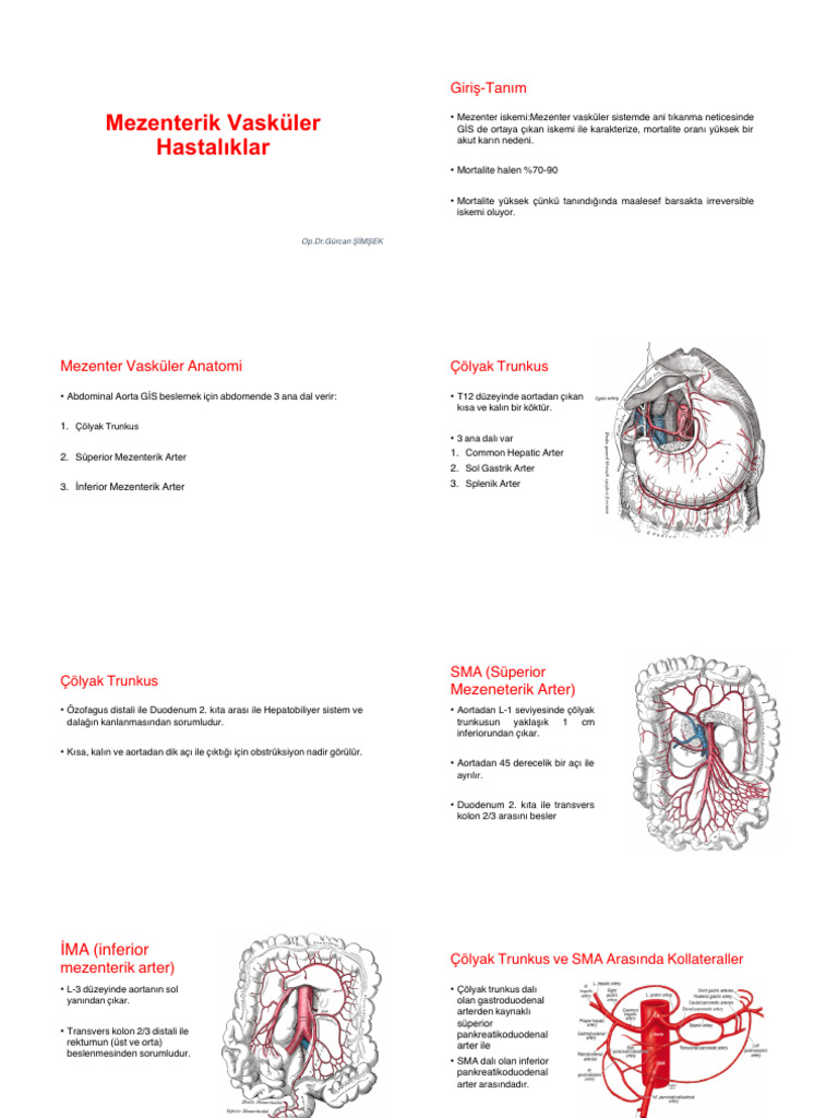 4-) Mezenter Vasküler Hastalıklar | PDF