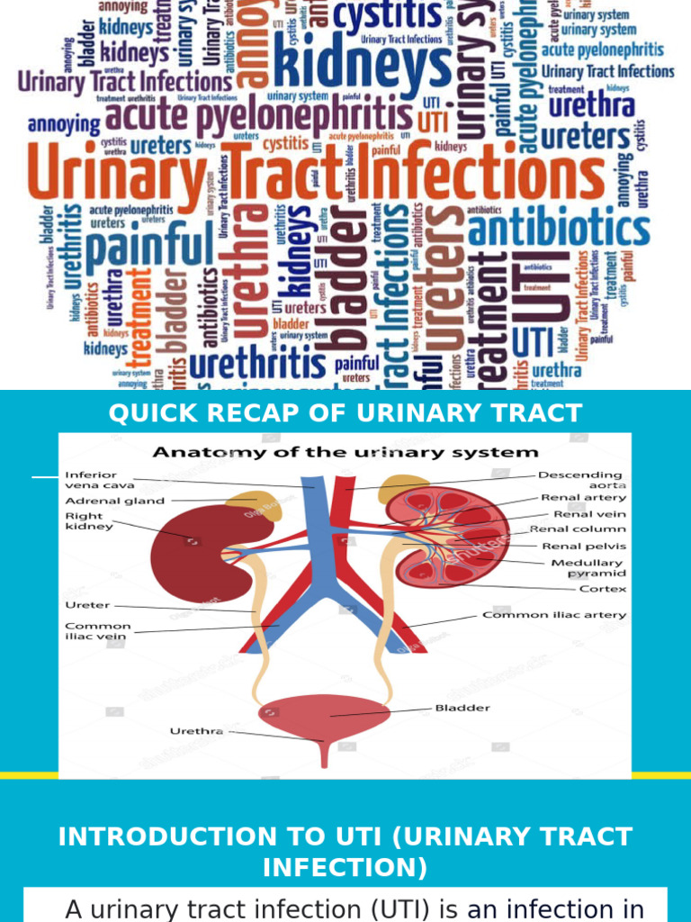 Uti and STD | PDF | Antibiotics | Medical Specialties