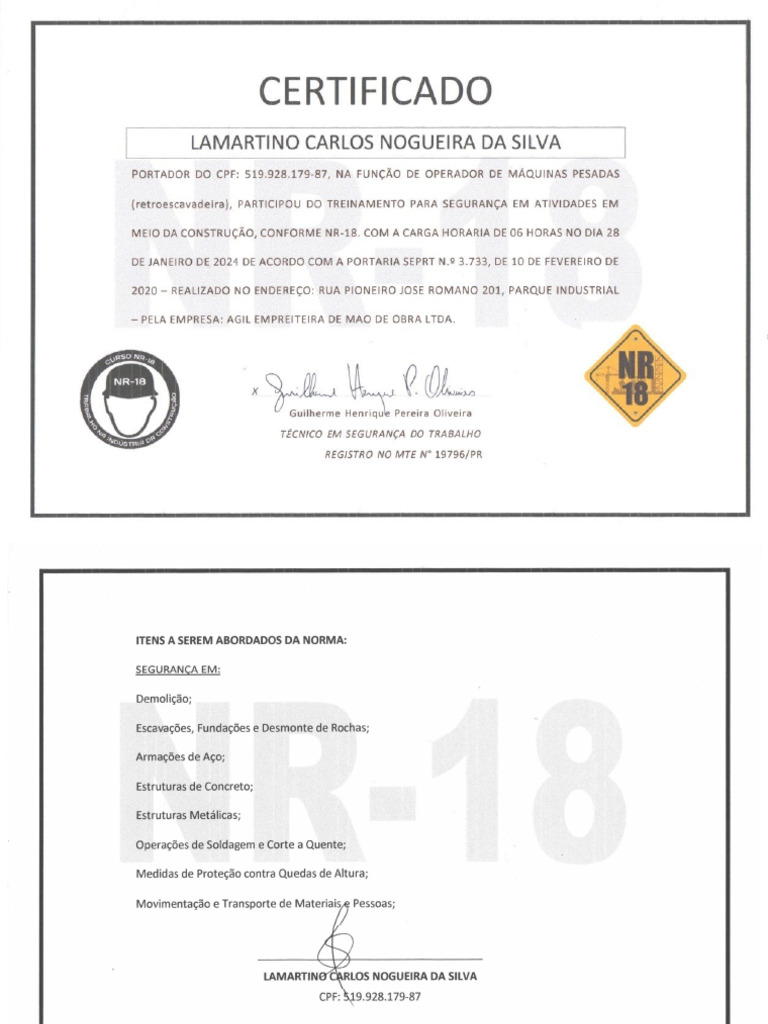 NR18 2024 Tino | PDF