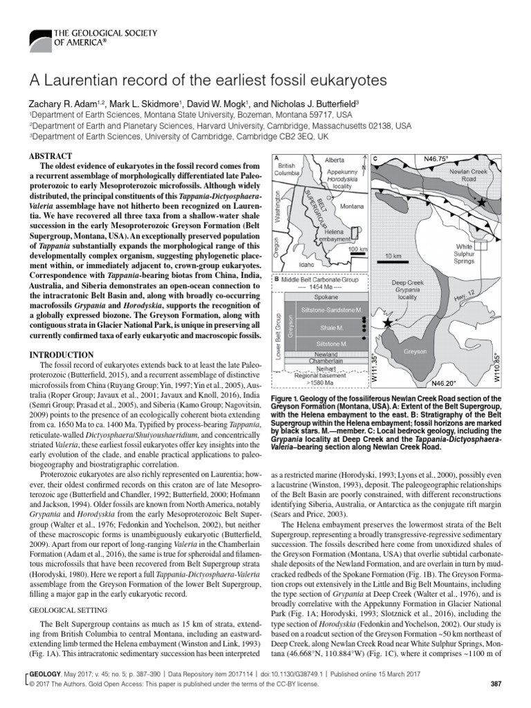 Adam - Et - Al - 2017 - Mesoproterozoic Greyson Formation, Belt ...