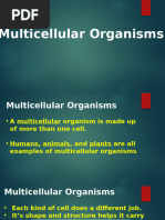 W3 - NOTES - Q2 - G7SCIENCE Unicellular and Multicellular Organisms ...