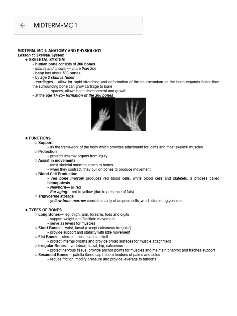 Midterm RDT 104 | PDF | Human Nose | Elbow