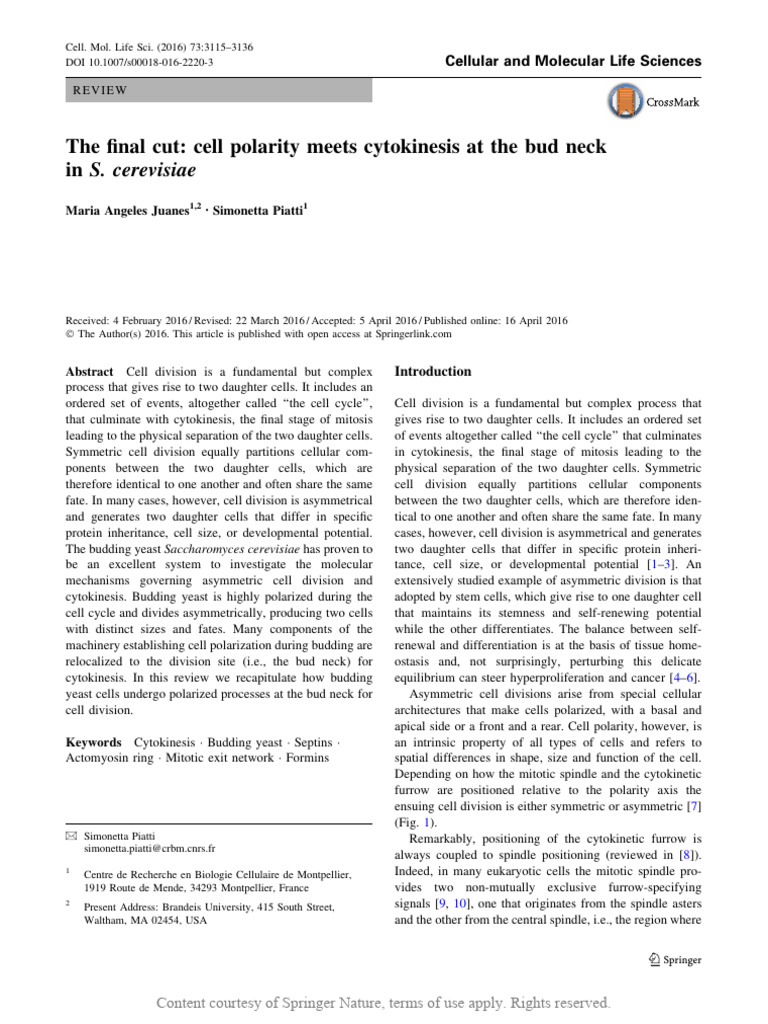 The Final Cut Cell Polarity Meets Cytokinesis at T | PDF | Actin ...