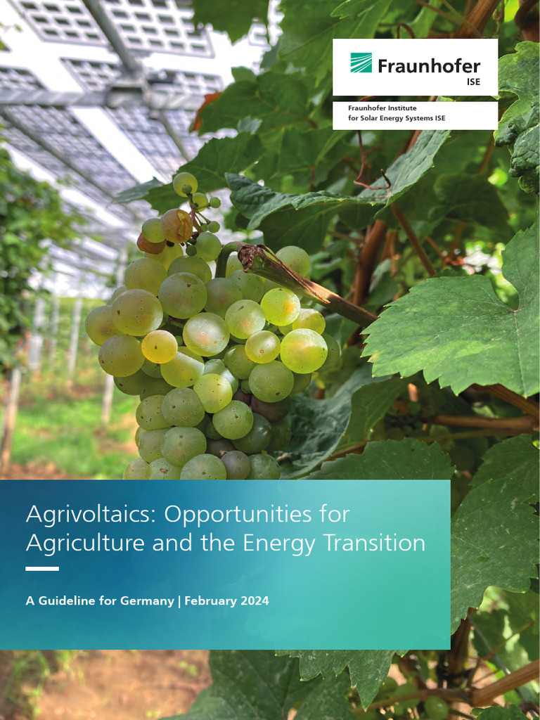 APV Guideline | PDF | Photovoltaics | Sustainable Energy