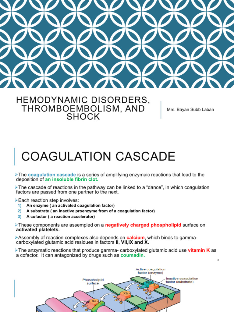 باثو 6 | PDF | Coagulation | Thrombosis