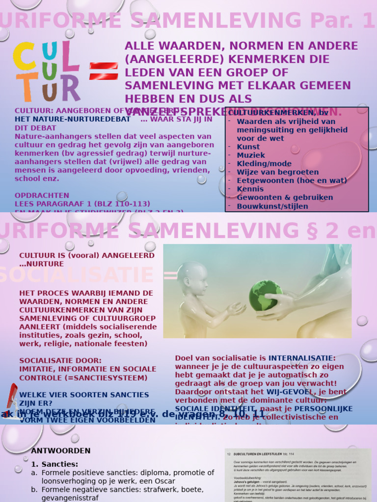 Pluriform NL Par 1, 2 en 3 | PDF