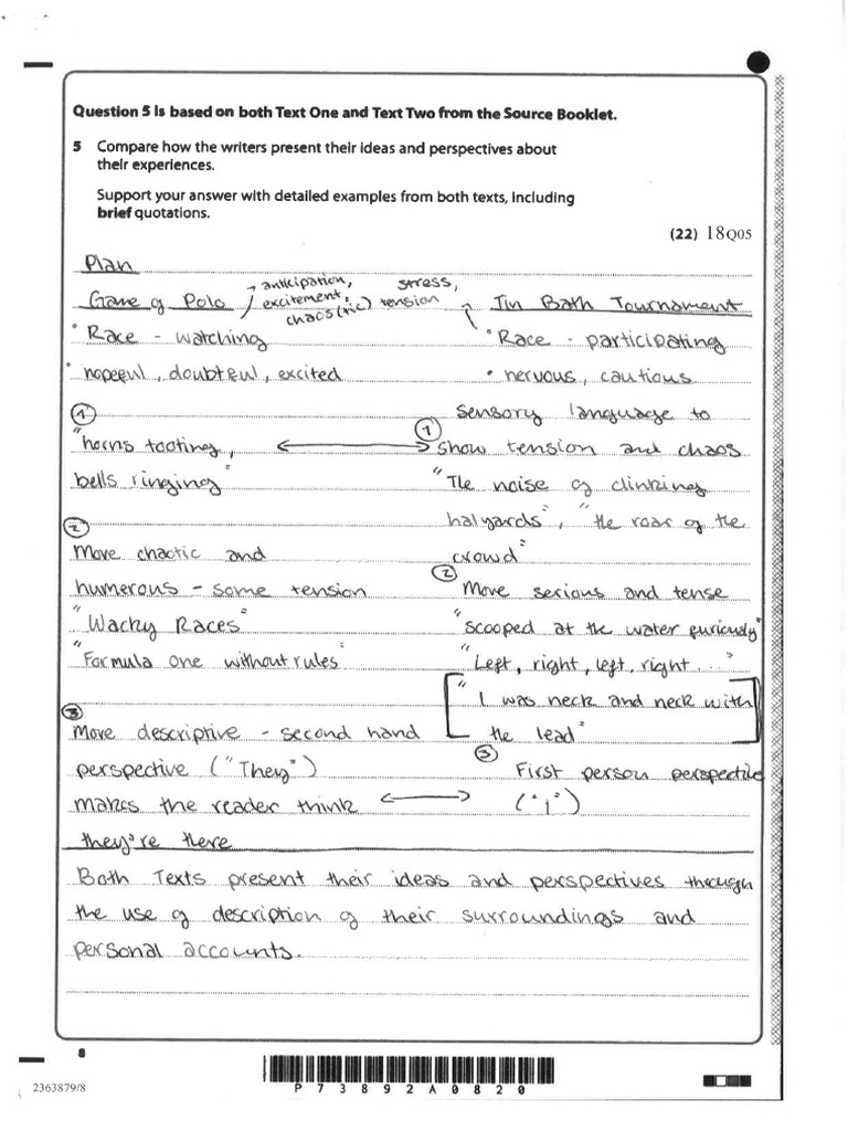 Comparative Essay Example | PDF
