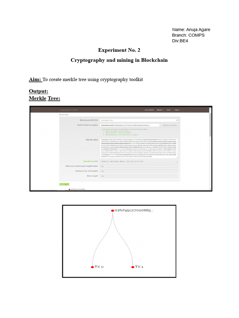 Exp2 Be4-1 | PDF | Art | Technology & Engineering