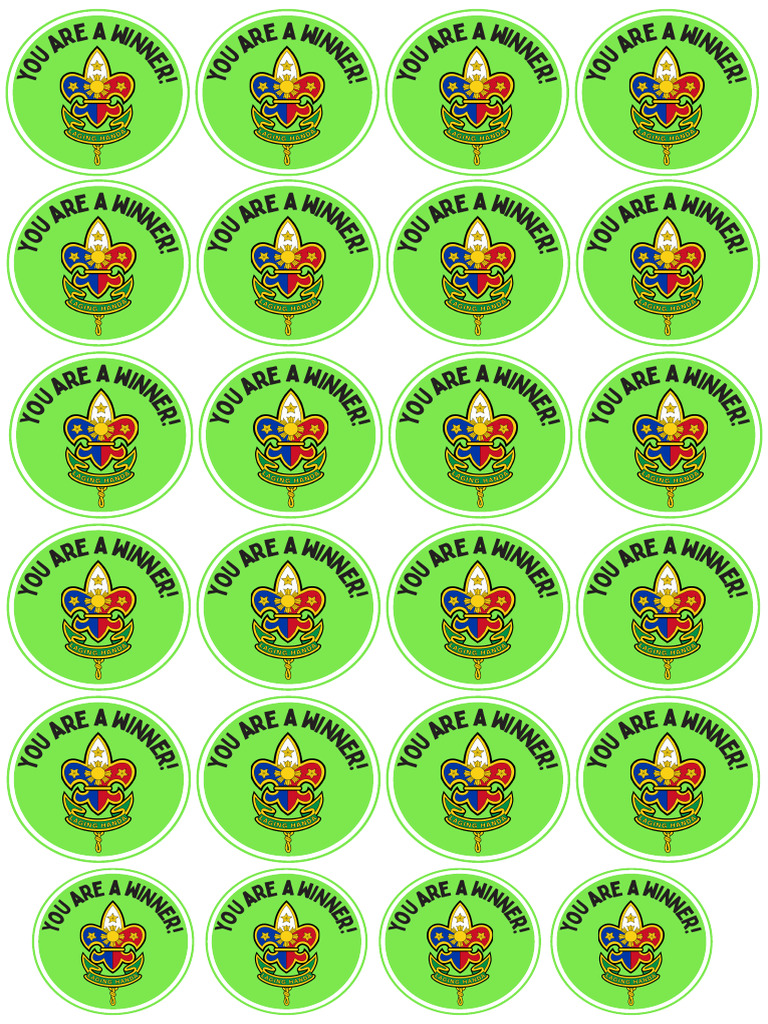 GSP and BSP Badge | PDF