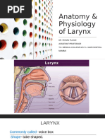 Anatomy of the Glottis and Subglottis | PDF | Larynx | Human Head And Neck