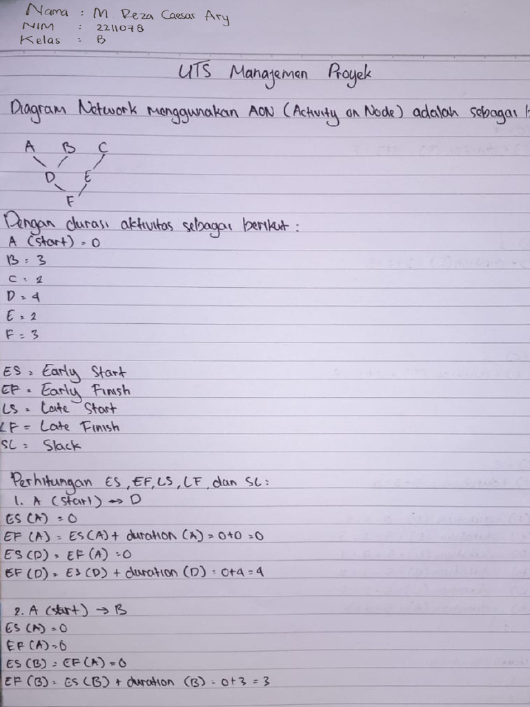 M. Reza Caesar Ary | PDF